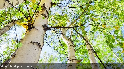 Beispieldateien zur Bereitstellung der Elektronischen ...