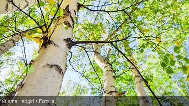 Financial markets: “I am concerned about the gold rush fever ...